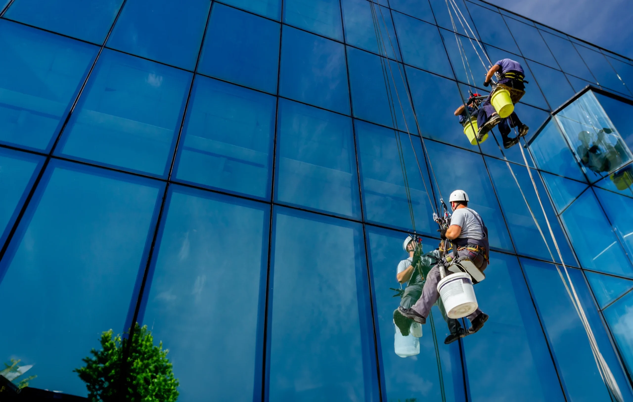 Window Cleaning - TM Maintenance Services Ltd